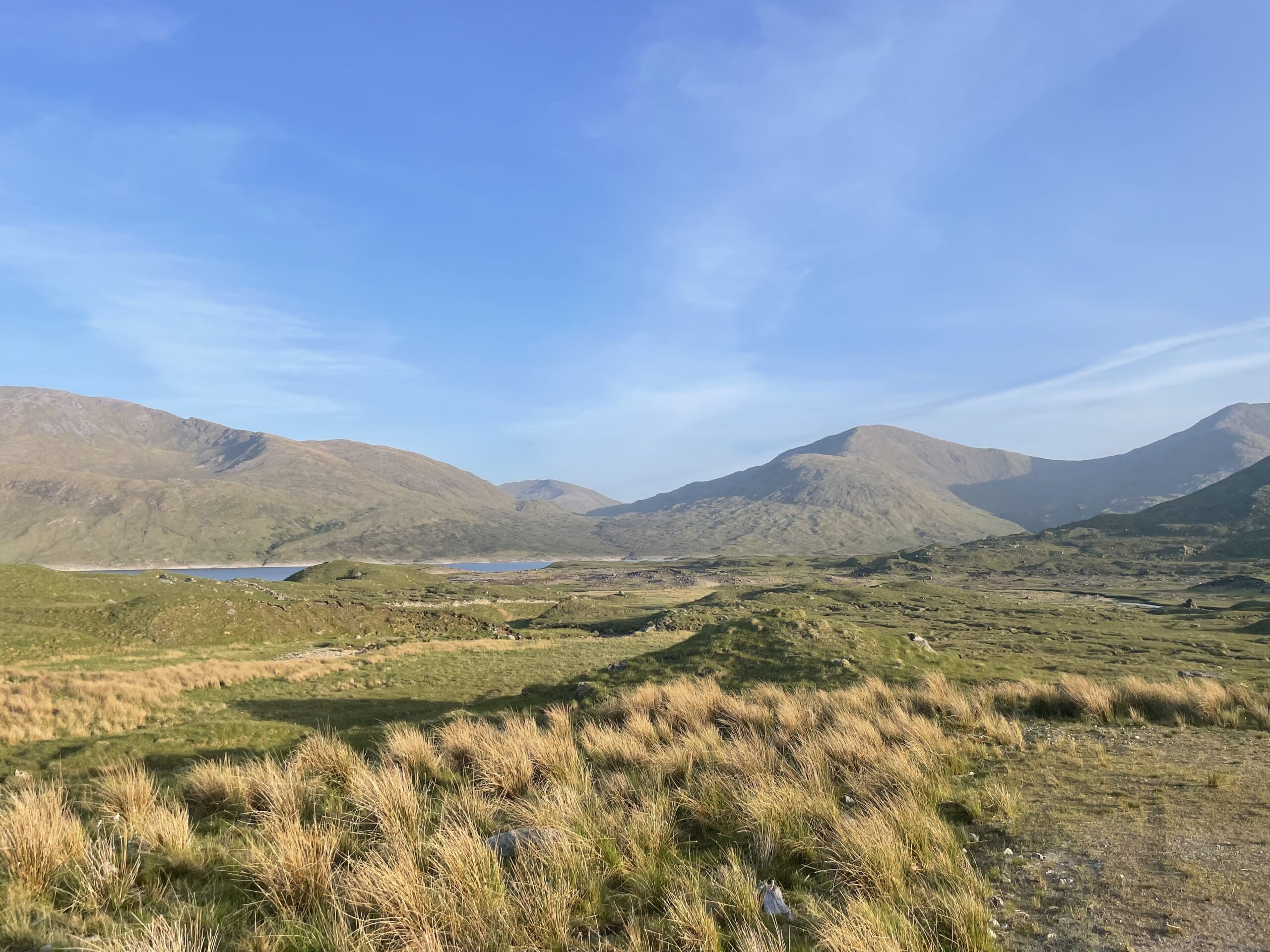 The Project | Fearna Storage | A Gilkes Energy Company